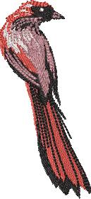 Red & Black Birds without Alpha